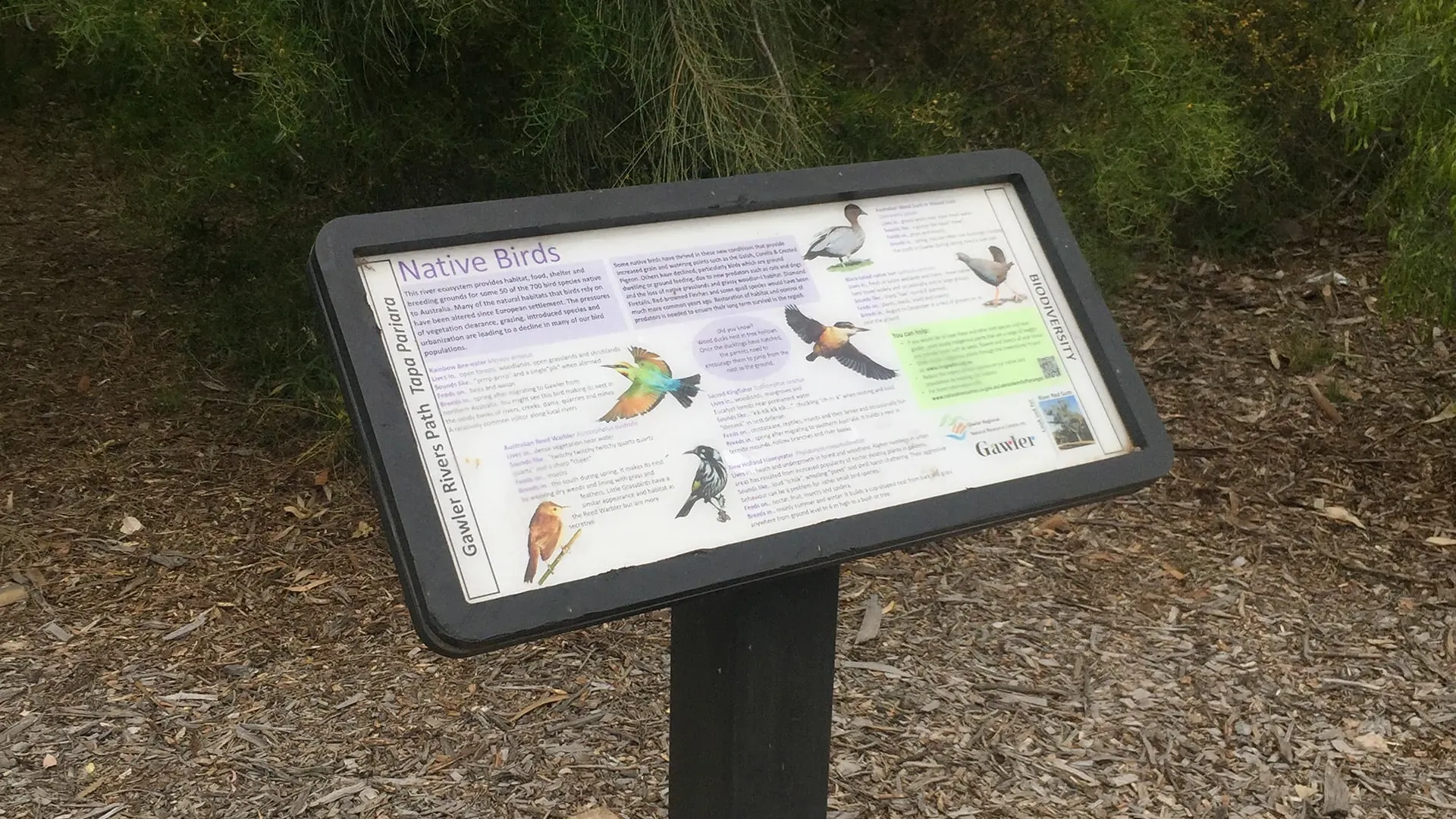 Podium Signs | APR Composites | 08 8359 4999 | Lectern Signs | Rostrum ...