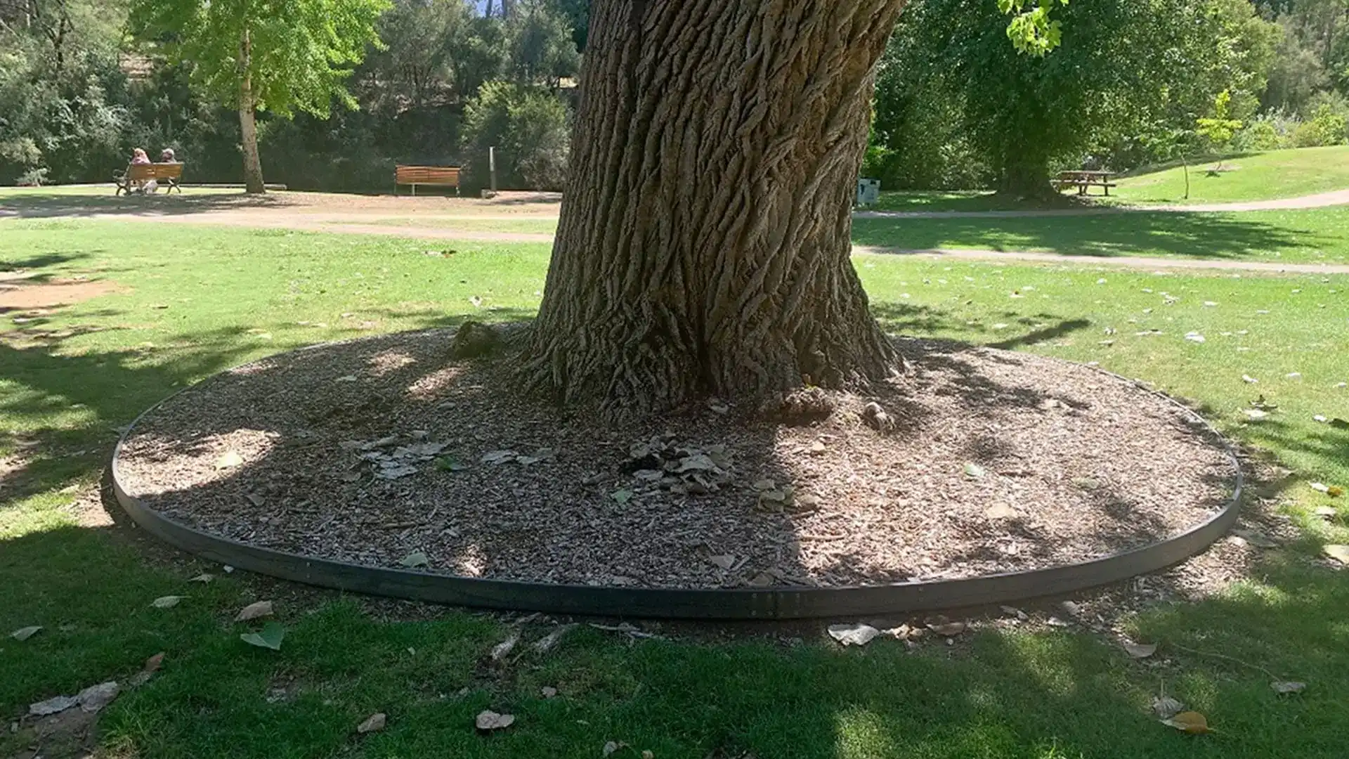 Tree Surrounds | APR Composites | 08 8359 4999 | Tree Guards | Tree ...